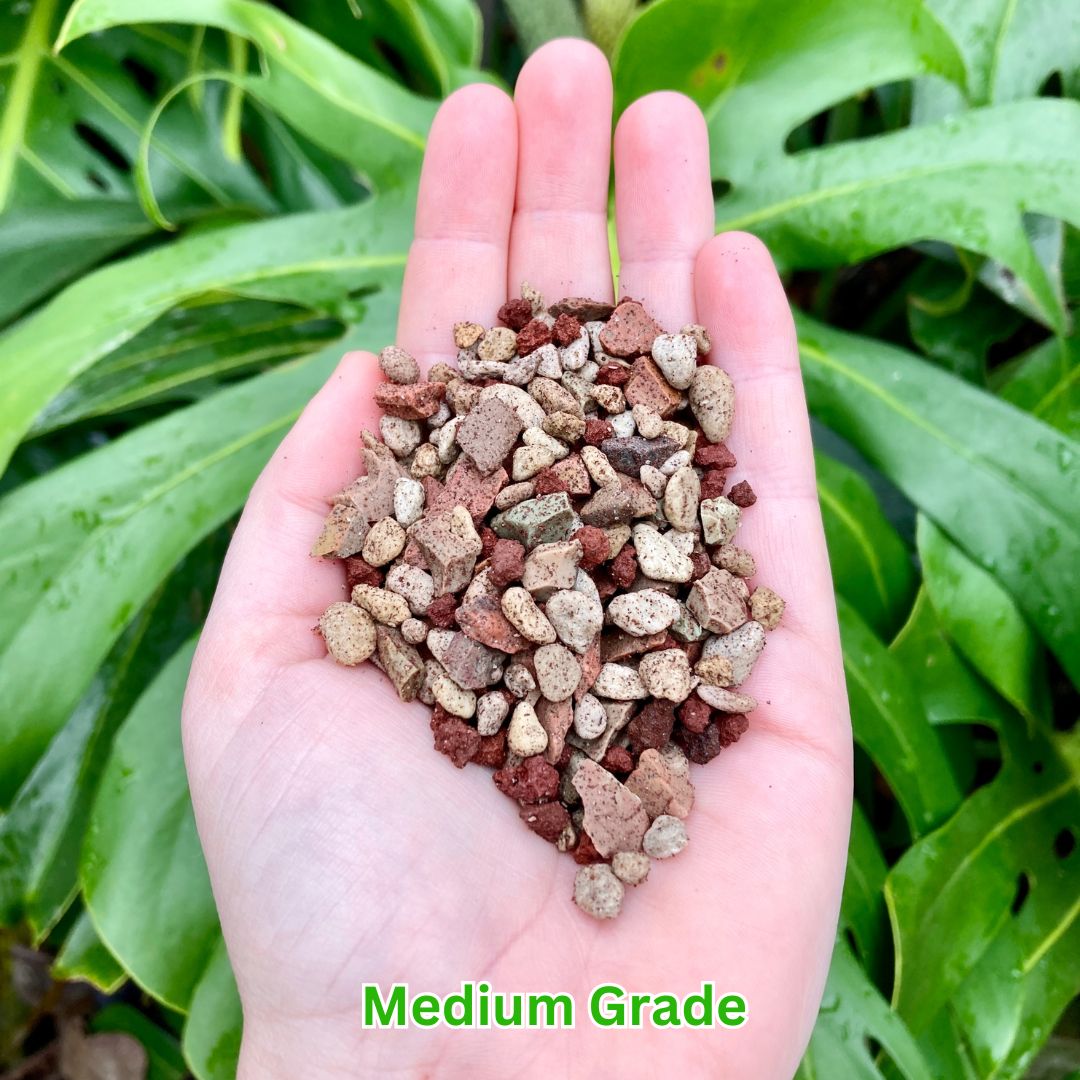 Buy Bio Leaf Bio Pon 1L / 4L – GrowingGreen NZ