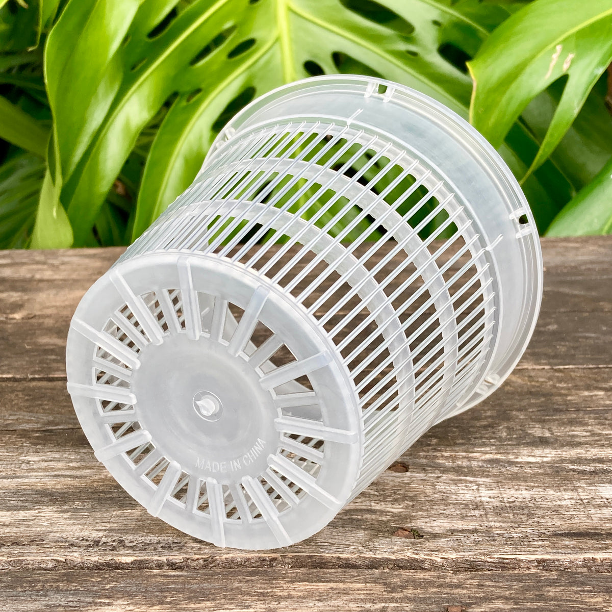 Buy Clear Net Pot 14cm (1.3L) – GrowingGreen NZ