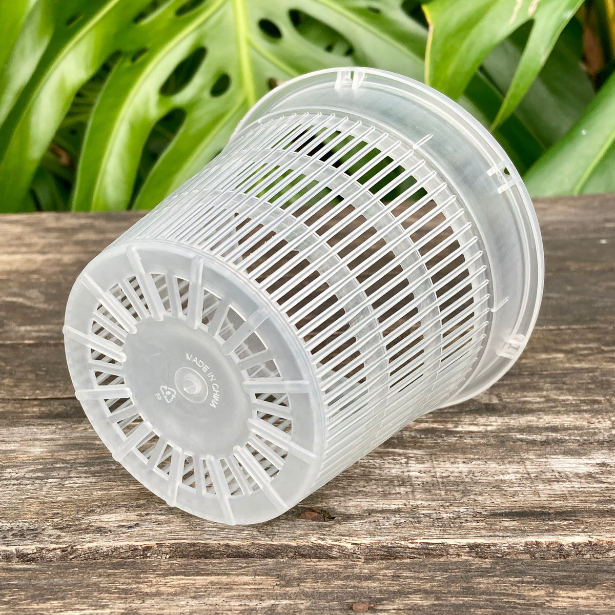 Buy Clear Net Pot 11cm – GrowingGreen NZ