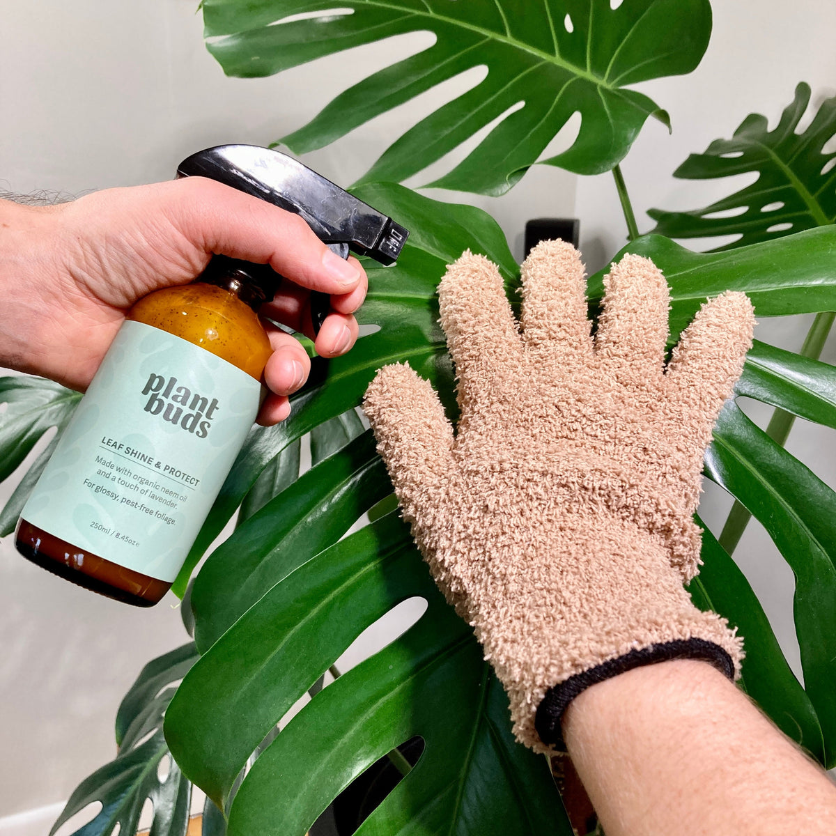 Buy Microfibre Leaf Cleaning Gloves – GrowingGreen NZ