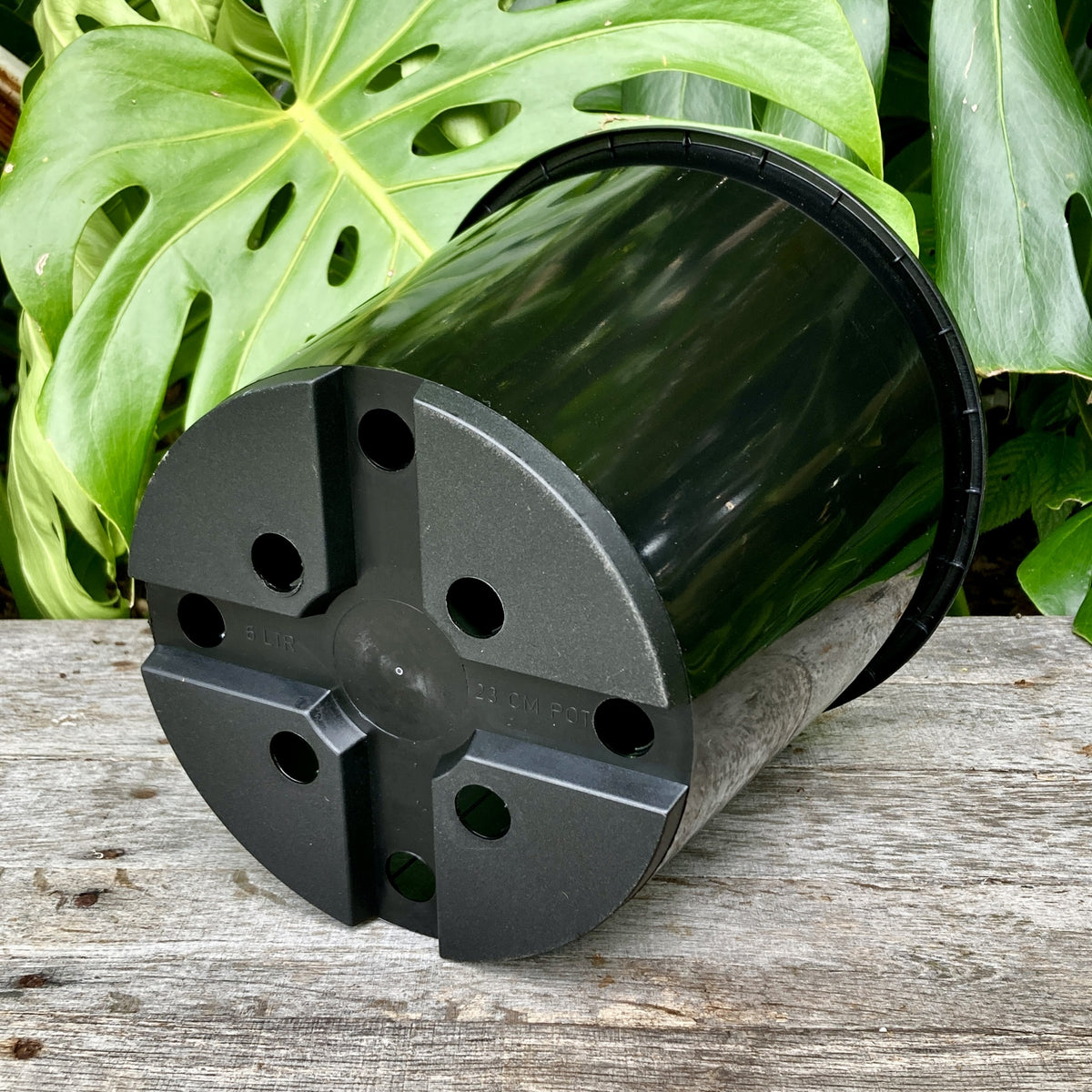 Buy Black Round Nursery Pot 23cm (6L) – GrowingGreen NZ