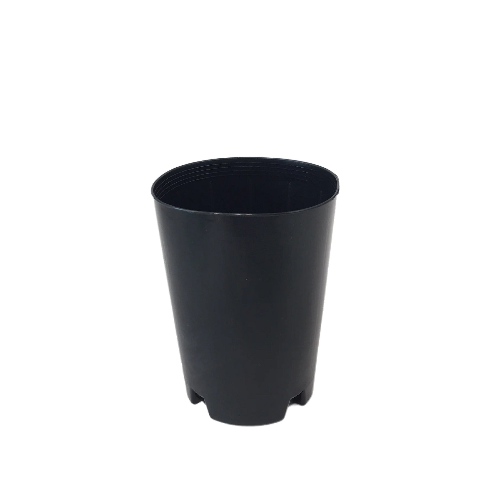 Buy Round Propagation Pot / Seedling Tube Black 7.5cm – GrowingGreen NZ